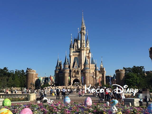 1回目のかんぱ～い！: Koco's Diary